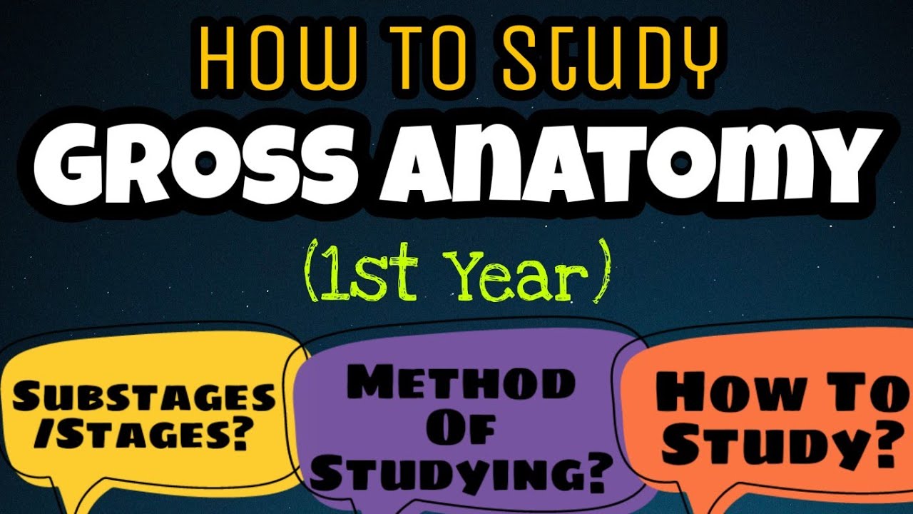 how-to-study-gross-anatomy-1st-year-medical-mbbs-dpt-bds-dr