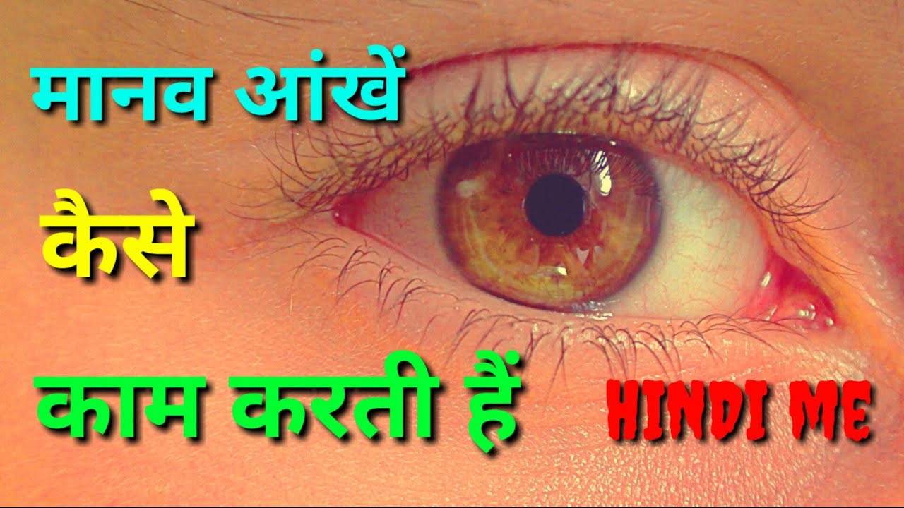 how-do-human-eyes-work-in-hindi-explained