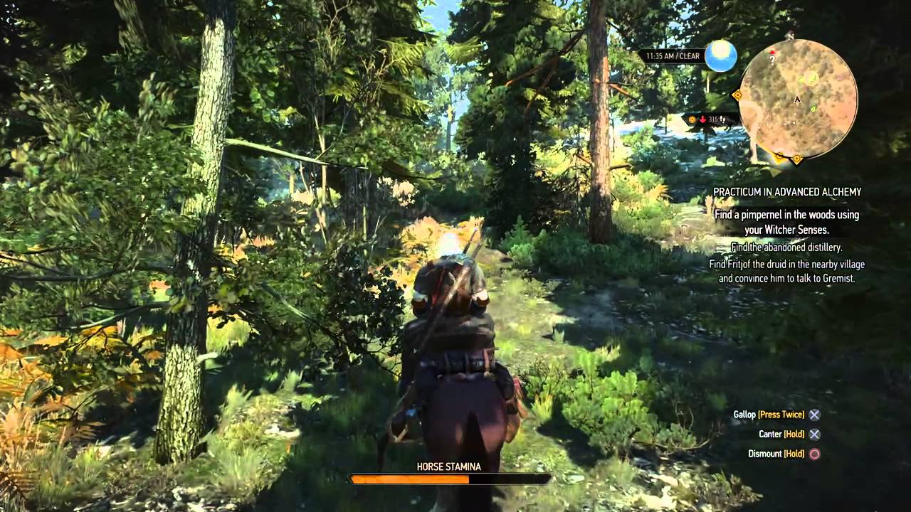 The Witcher 3: Wild Hunt Practicum in Advanced Alchemy Pimpernel - YouTube