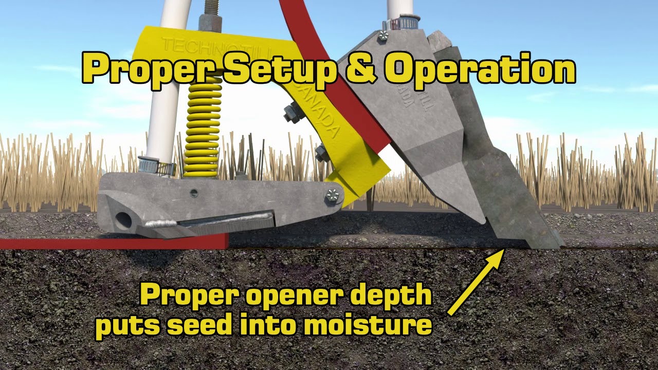 TNT Shank & Trip Requirements - YouTube