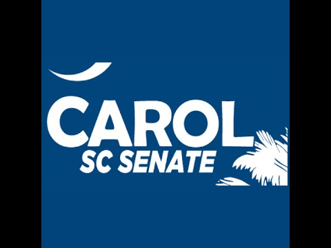 Carol Burdette for SC Senate - YouTube