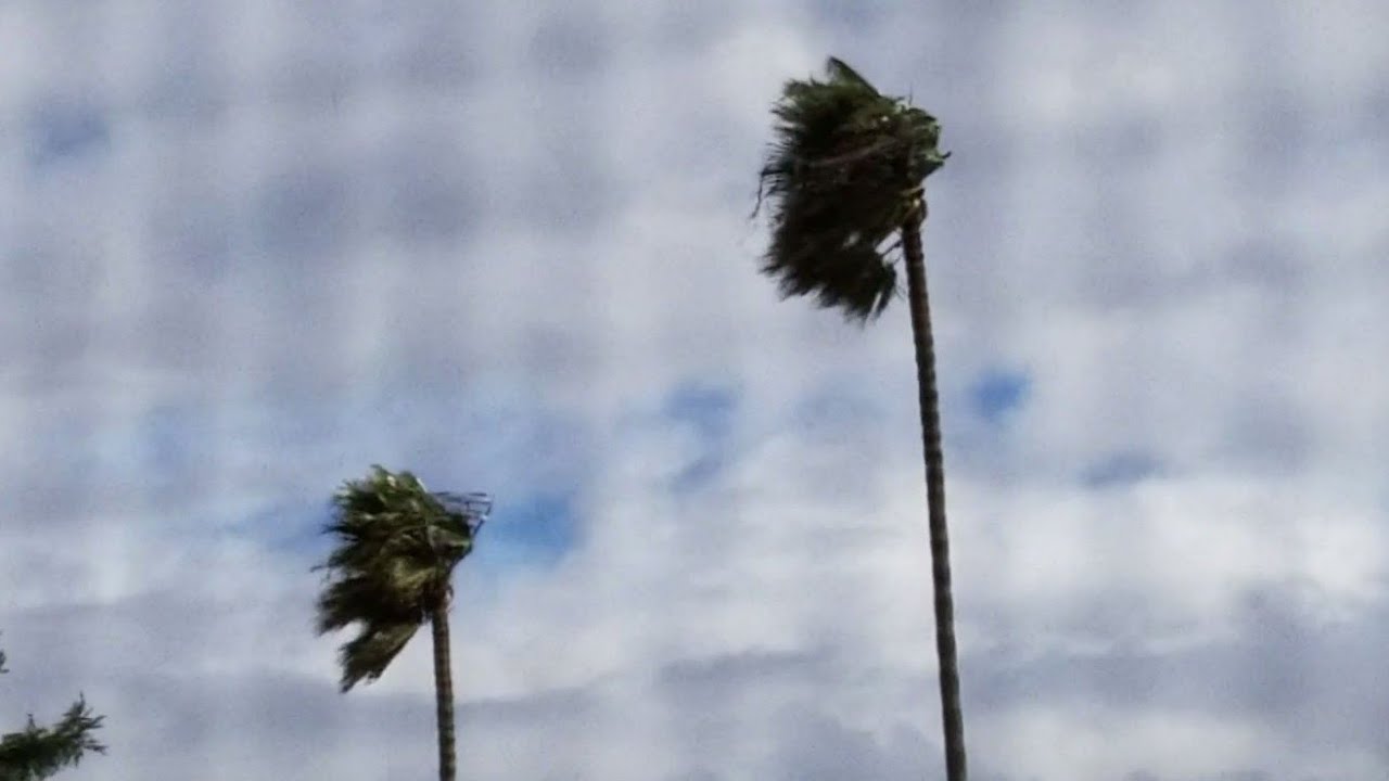 Very Gusty Windy SE Winds and Mostly Cloudy Sacramento February 27 ...