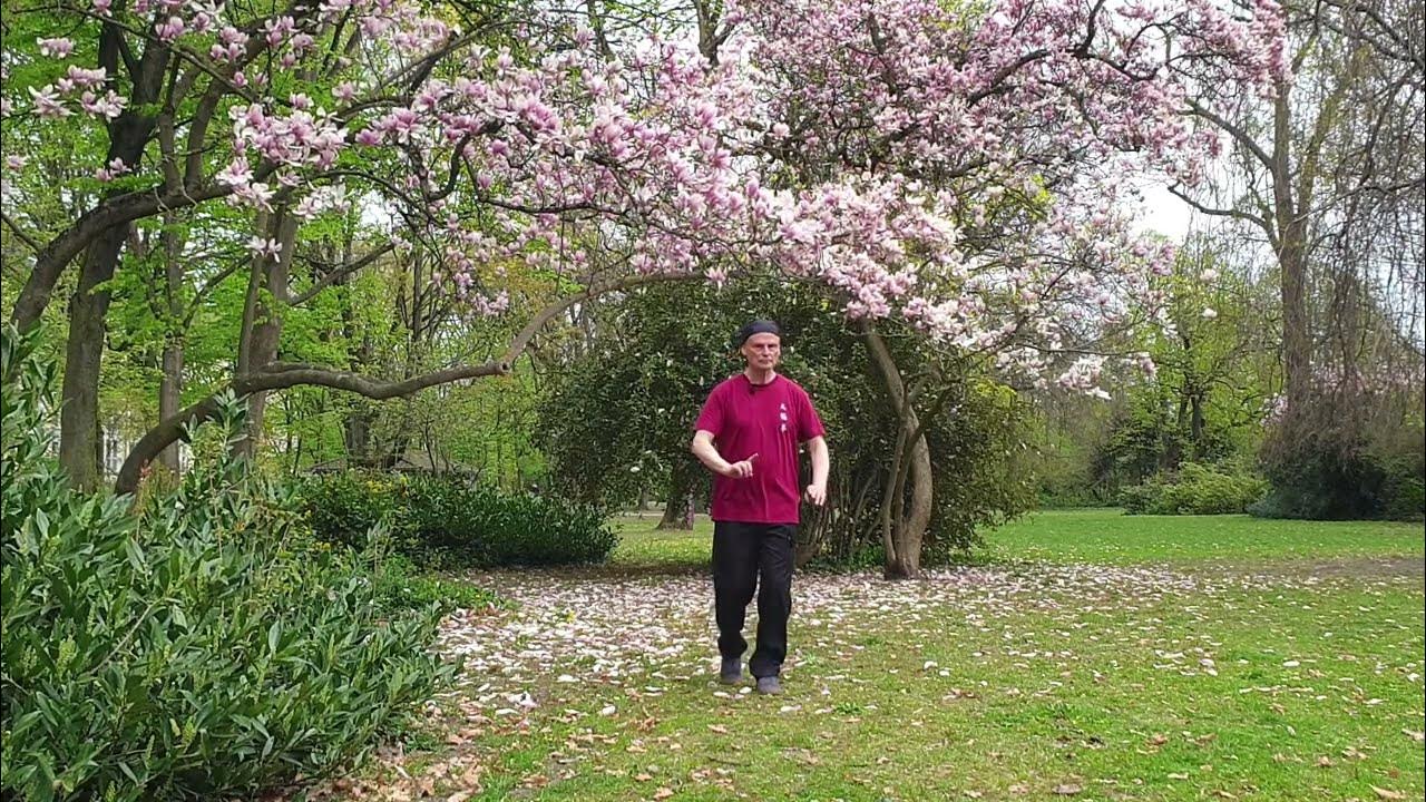 Guolin Qigong - YouTube
