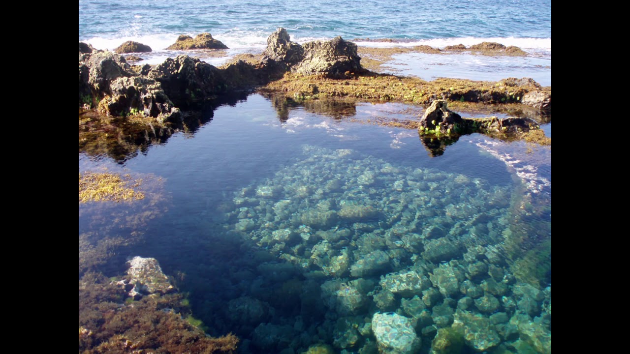 isla de ALBORÁN - YouTube