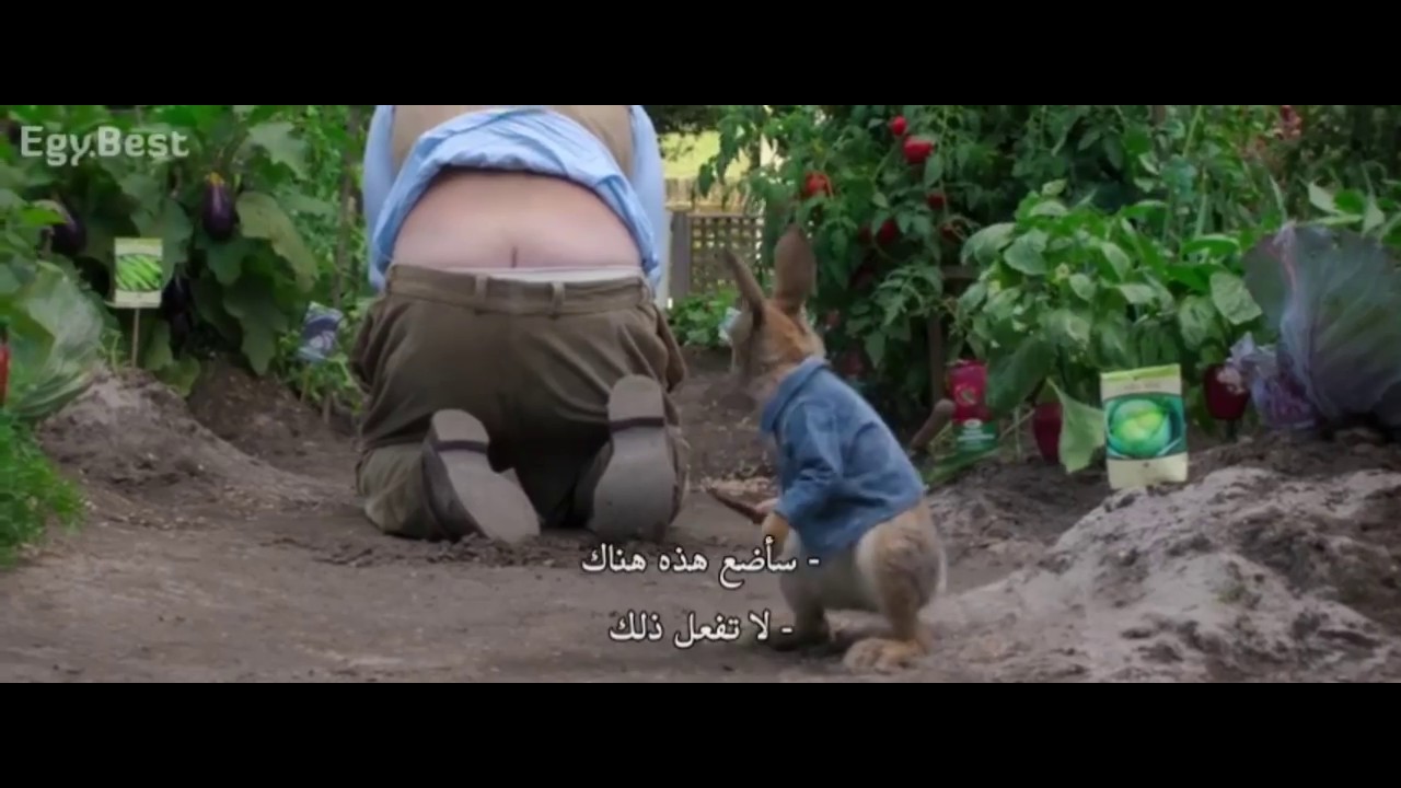 peter rabbit and the farmer - YouTube
