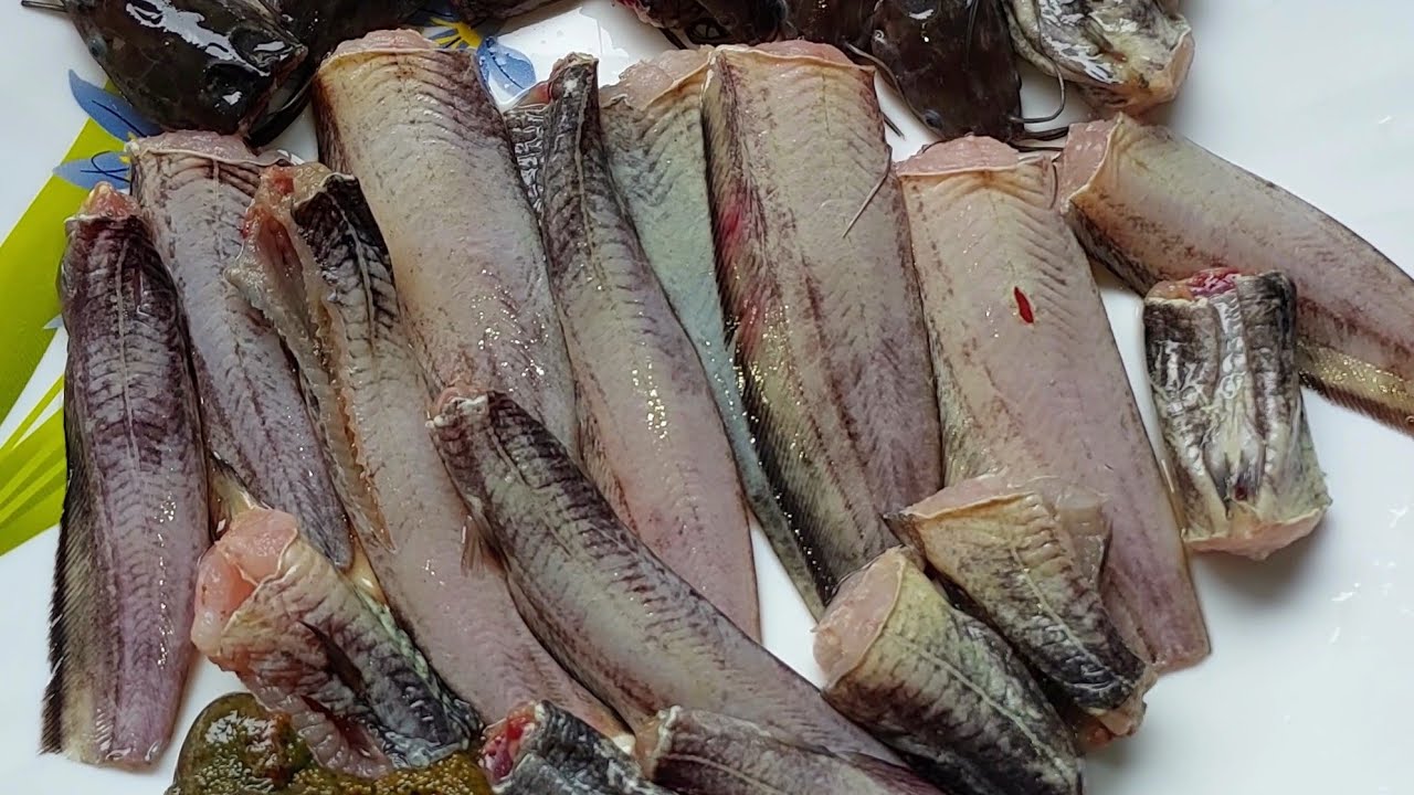 শিং মাছের ঝোল রেসিপি👌😋। Catfish curry Indian style।How to cook stinging ...