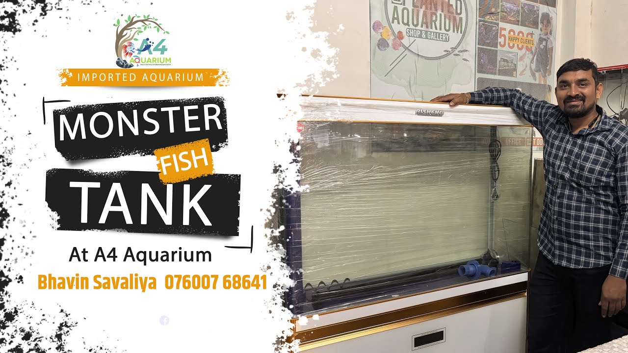 Unboxing Big Size imported Fish Tank At A4 Aquarium ||Monster Aquarium ...