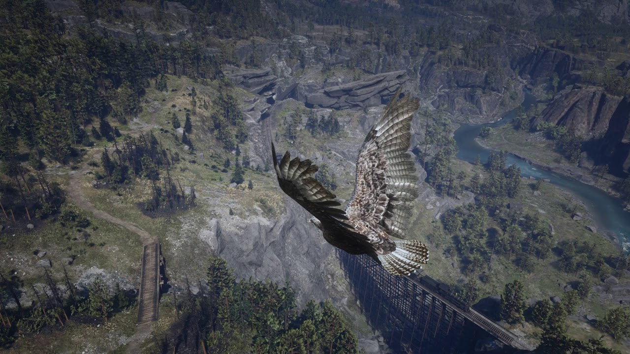 Red Dead Redemption 2 EAGLES - YouTube
