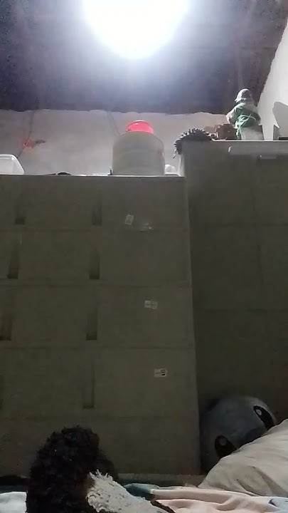 January 14, 2025 - YouTube