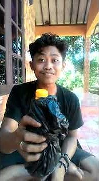 Gagal fokus..akibat sering nonton bokep setiap malam - YouTube