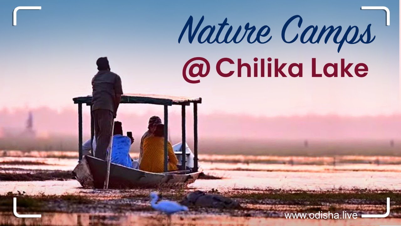 Chilika Wildlife & Nature Camp at Chilika Lagoon | Odisha Tourism - Eco ...