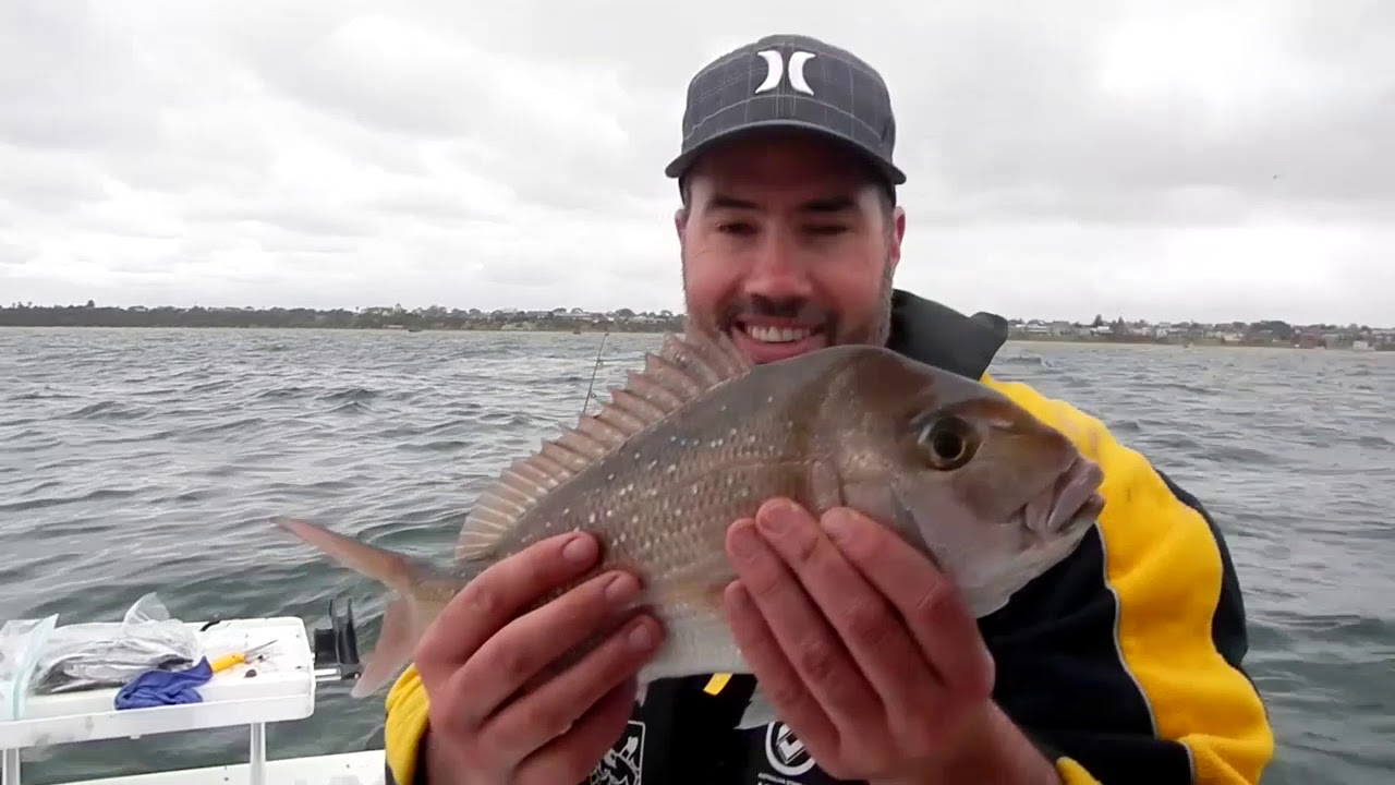 Bait Challenge - Pilchard versus Salted Carp Fillets - (Pinky Edition ...