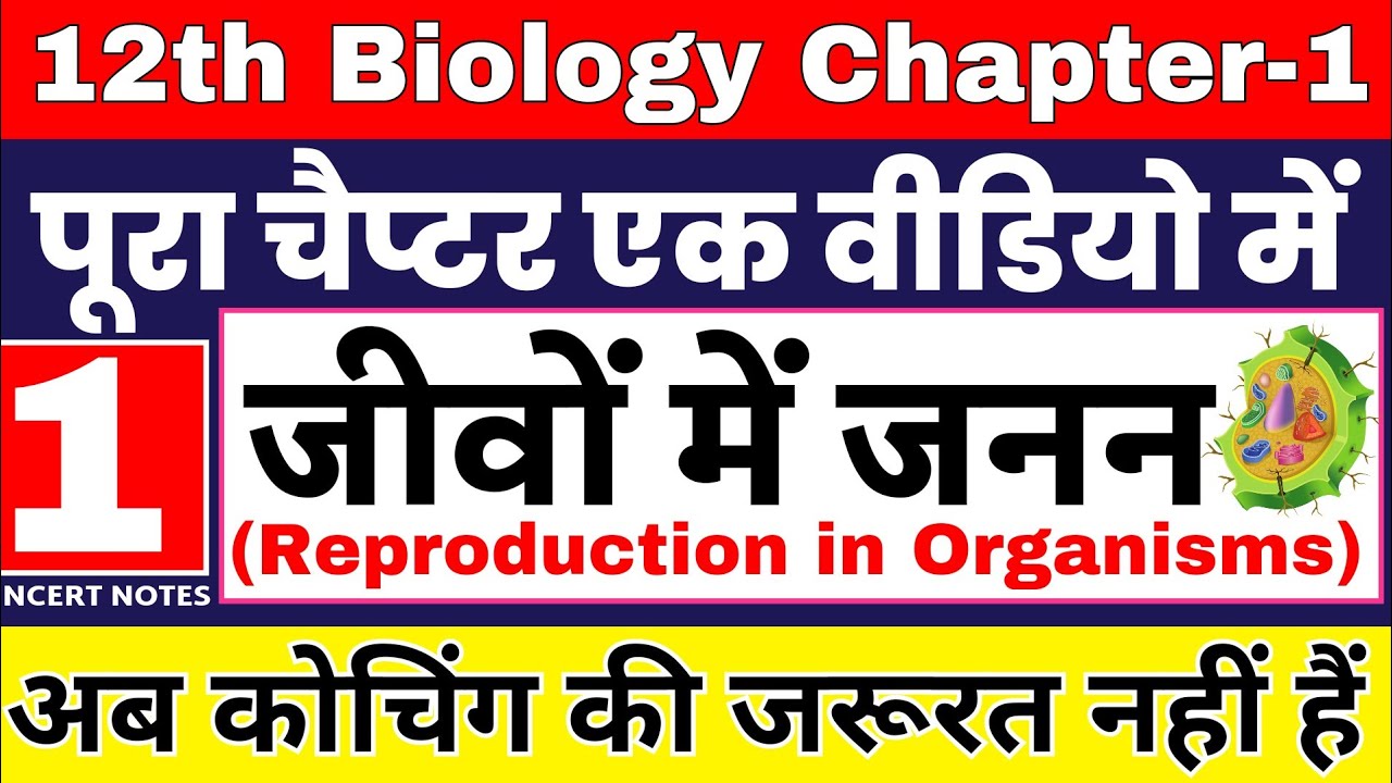 Class 12 Biology Chapter 1 in Hindi | Reproduction in Organisms Class ...