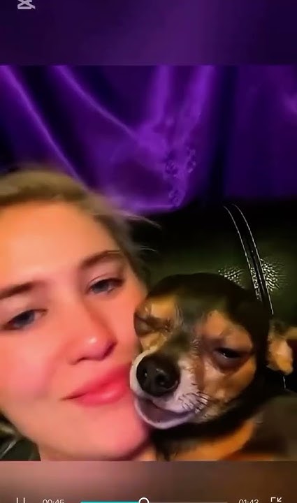 The Epic Dog Playtime: Hilarious Reactions & Unforgettable Moments! #funny - YouTube