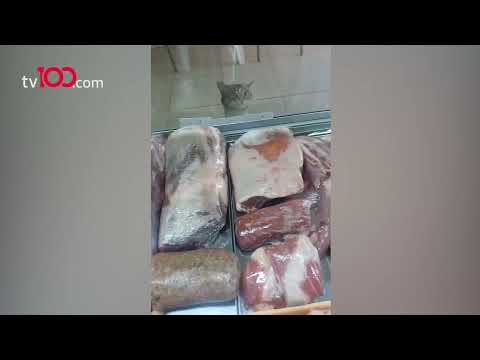 Kasabın kendisinden mama isteyen kedi ile güldüren diyaloğu