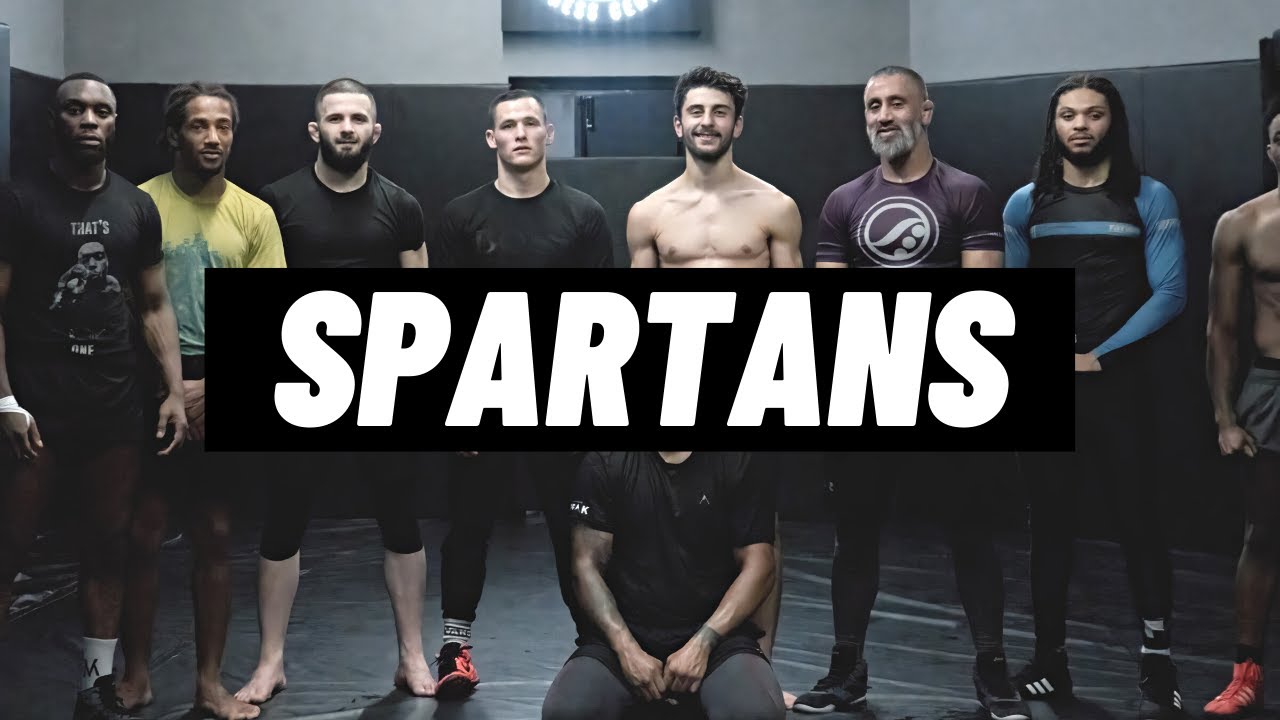 What HIGH Level Pro MMA Grappling Looks Like - YouTube