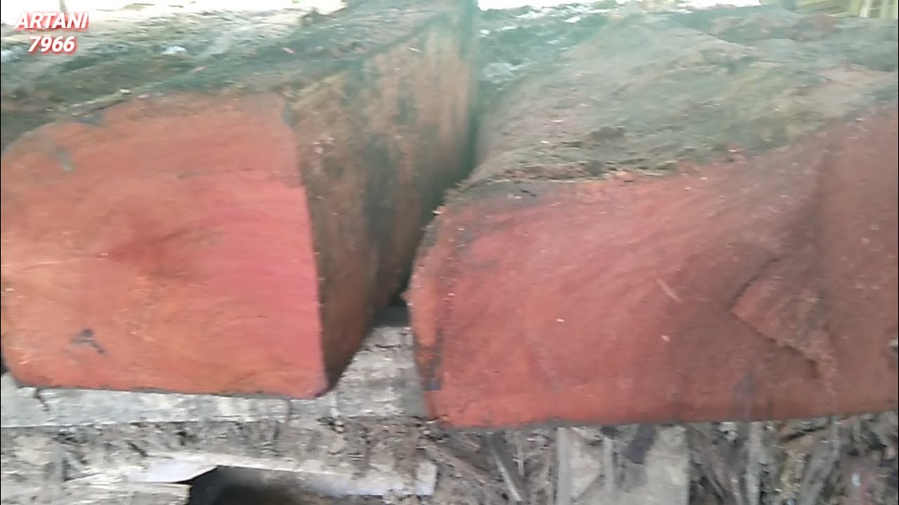 sawmil wood??. full kayu tasak merah simak terus prosesnya gaess - YouTube