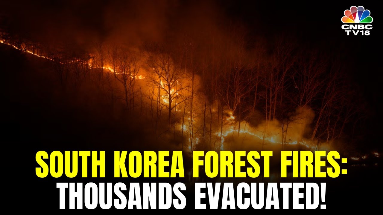South Korean Firefighters Work To Curb Forest Fires | South Korea News ...