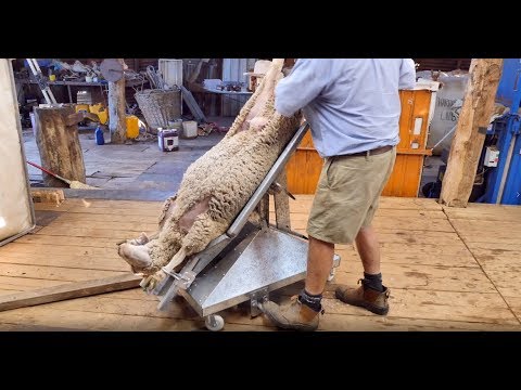 Laparoscopic AI Cradle & Sheep Loader - YouTube