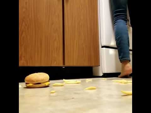 Food crush under my feet | femdom