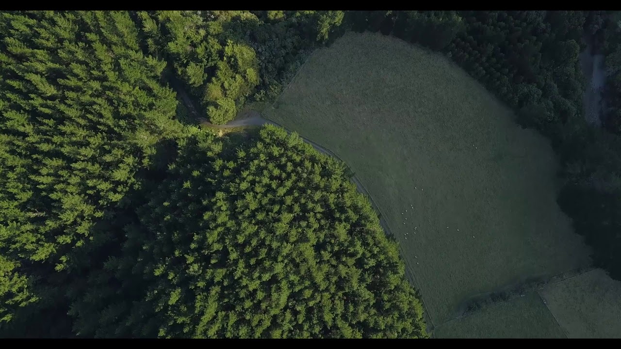 Akatarawa Valley - YouTube