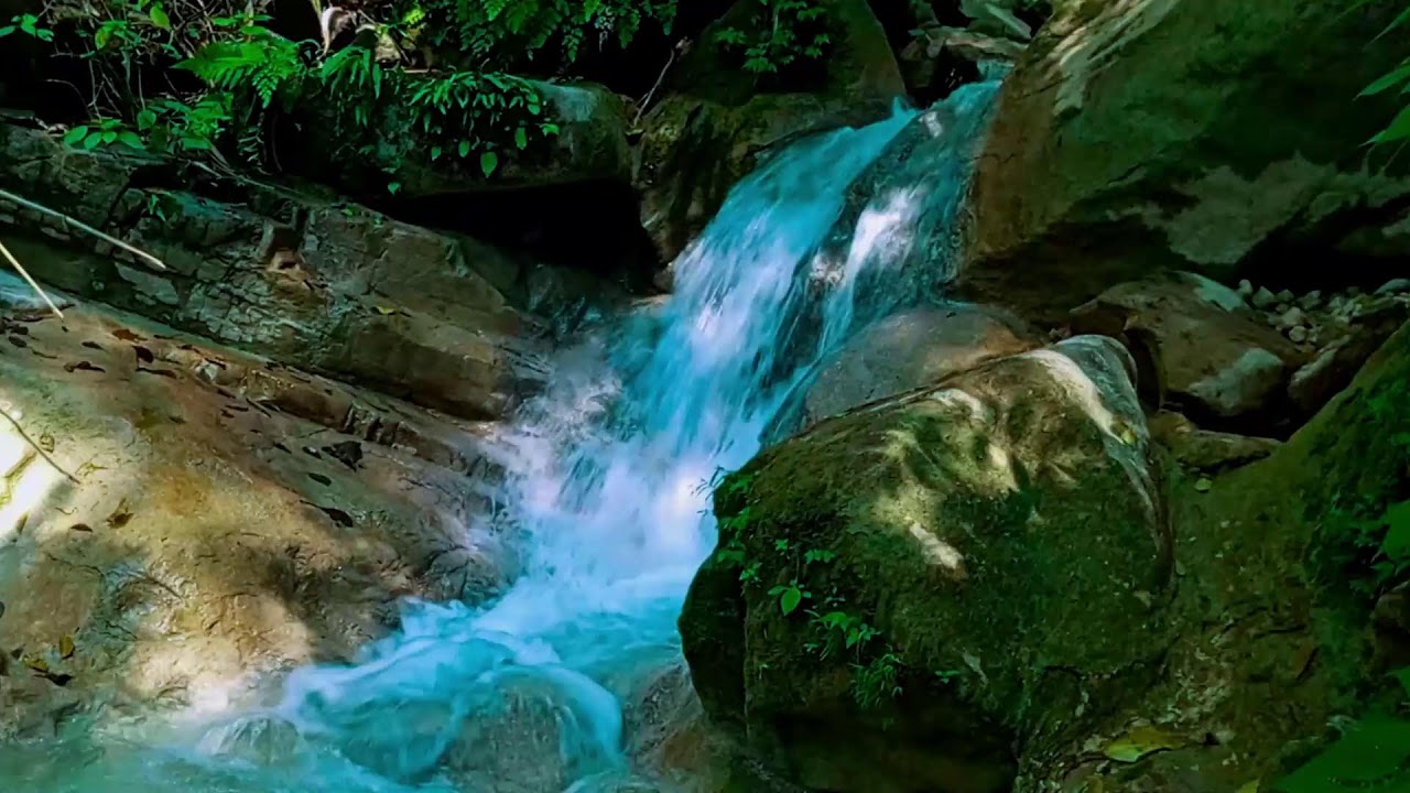 Relaxing Water Ambience for Deep Focus and Meditation Gentle River Flow ...