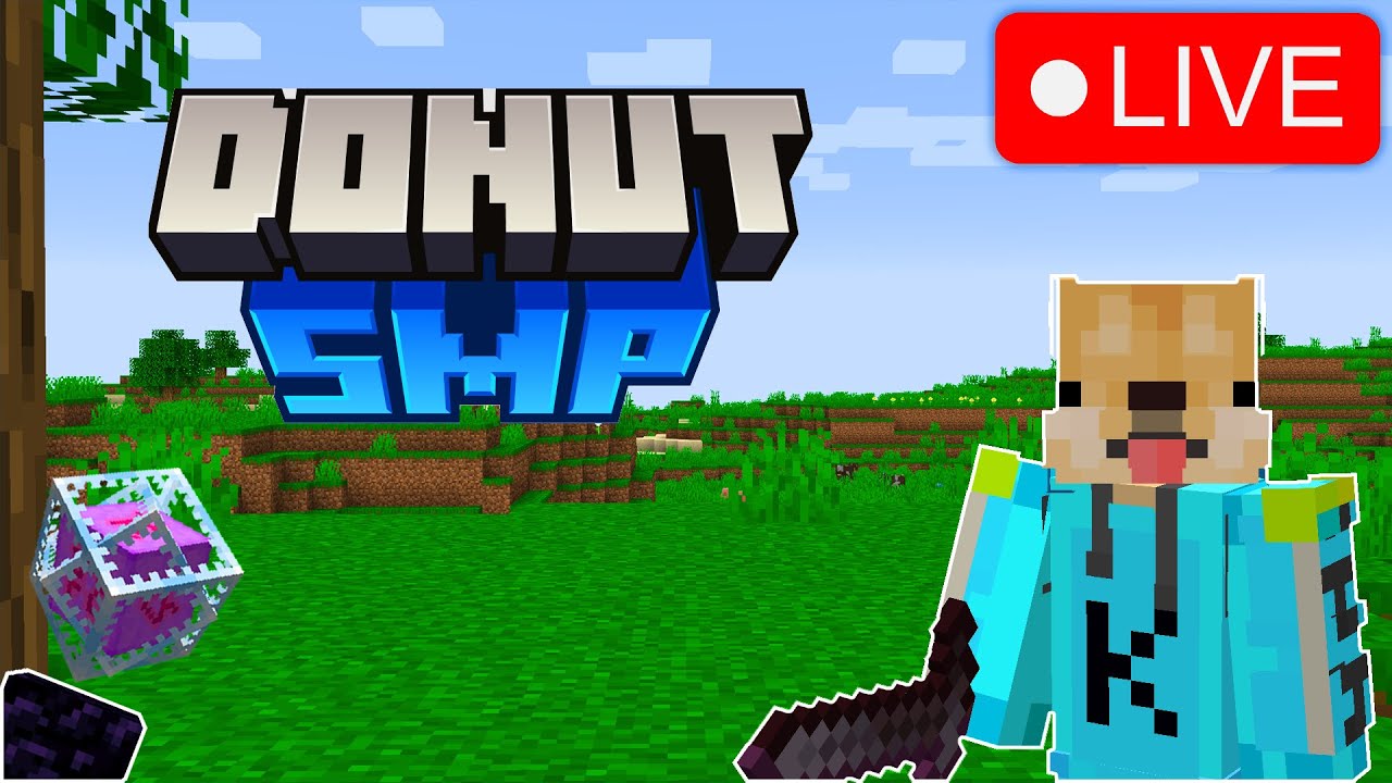 Donut SMP Live Stream, Rating Bases + Crystal PvP + Paying $$$ + 1K ...