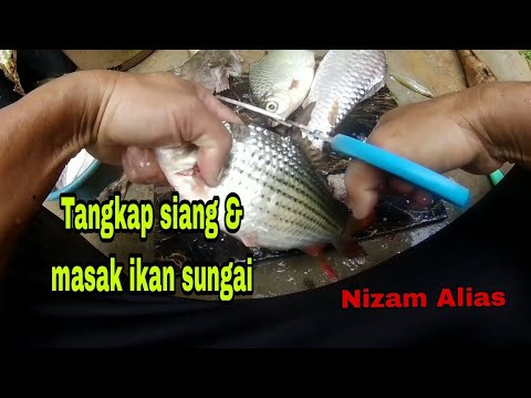 TANGKAP,SIANG DAN MASAK IKAN SUNGAI - YouTube