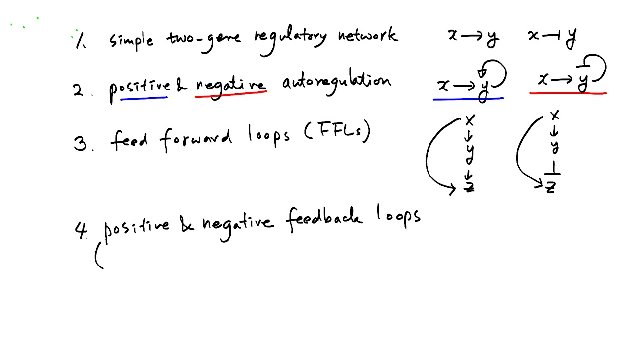 Network Motifs - YouTube