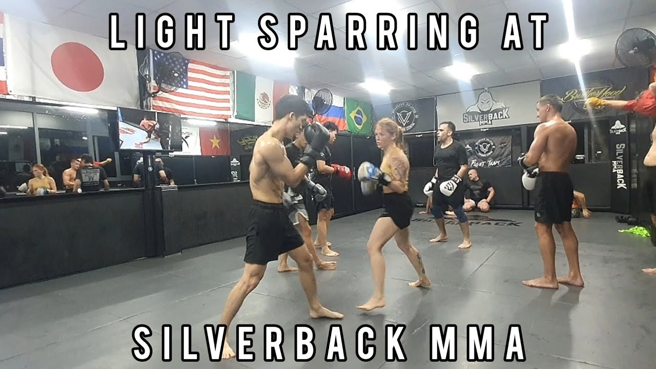 Light Sparring At Silverback MMA - YouTube
