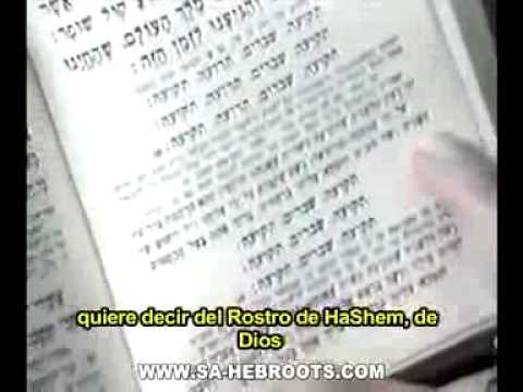 Simcha Pearlmutter 5/8 (sub español) - YouTube