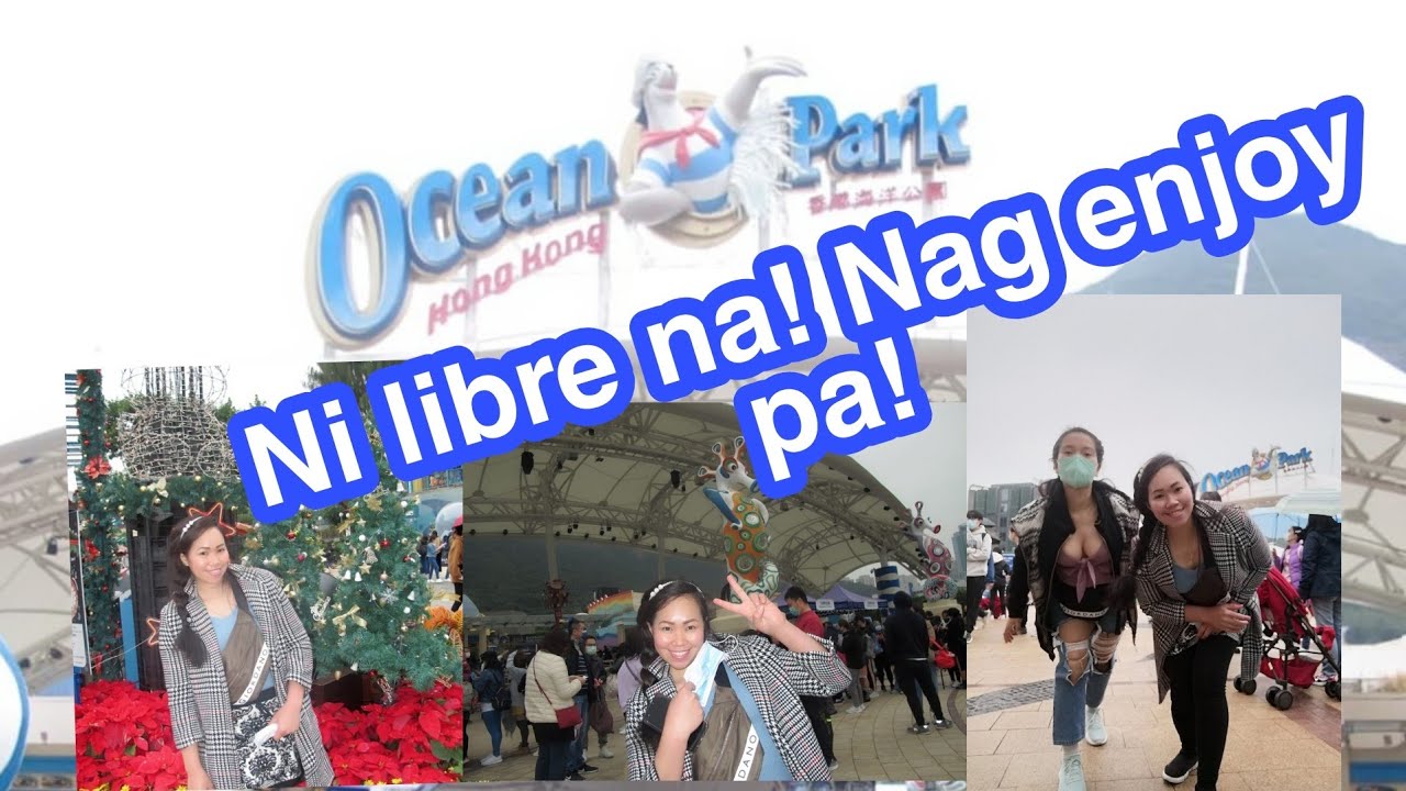 DREAM COME TRUE! OCEAN PARK|ANALOU JAY VLOGS - YouTube
