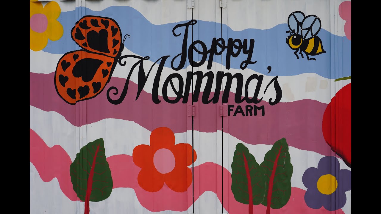 Joppy Momma's Farm is filling fresh produce void in Dallas, Texas - YouTube