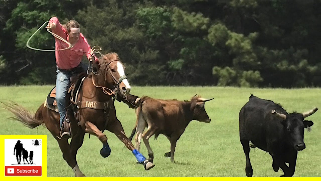 Pasture Team Roping 🤠🐂 🤠 The 1836 Chuckwagon Races 2022 - Friday - YouTube