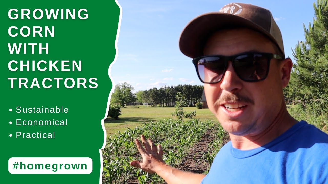 The Only Way We'll Ever Grow Corn Again | Full Backyard Garden Tour ...