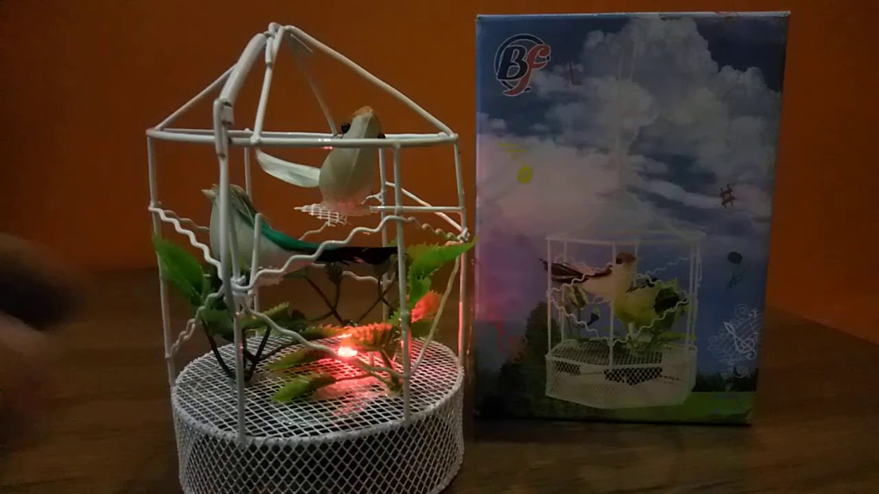 Battery Operated Singing Bird in Cage by Victoria Store - YouTube