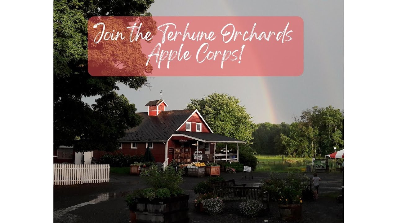 Join the Terhune Orchards Apple Corps! - YouTube