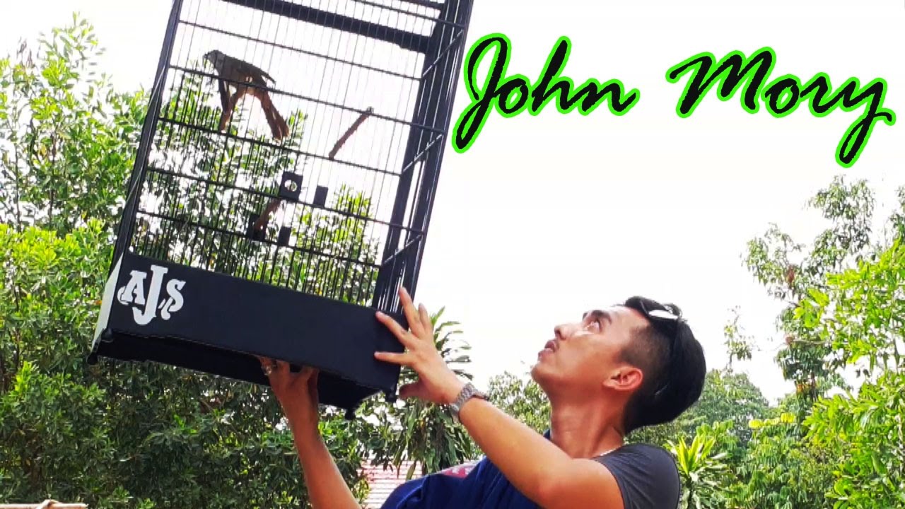 Aksi Kapas Tembak Juara John Mory Milik Herry AJS di LatBer Bujang ...