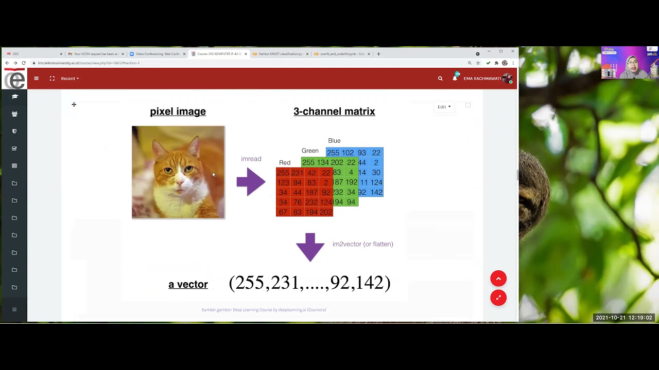 Week 5 - Visi Komputer - Peran Machine Learning di Visi Komputer - YouTube