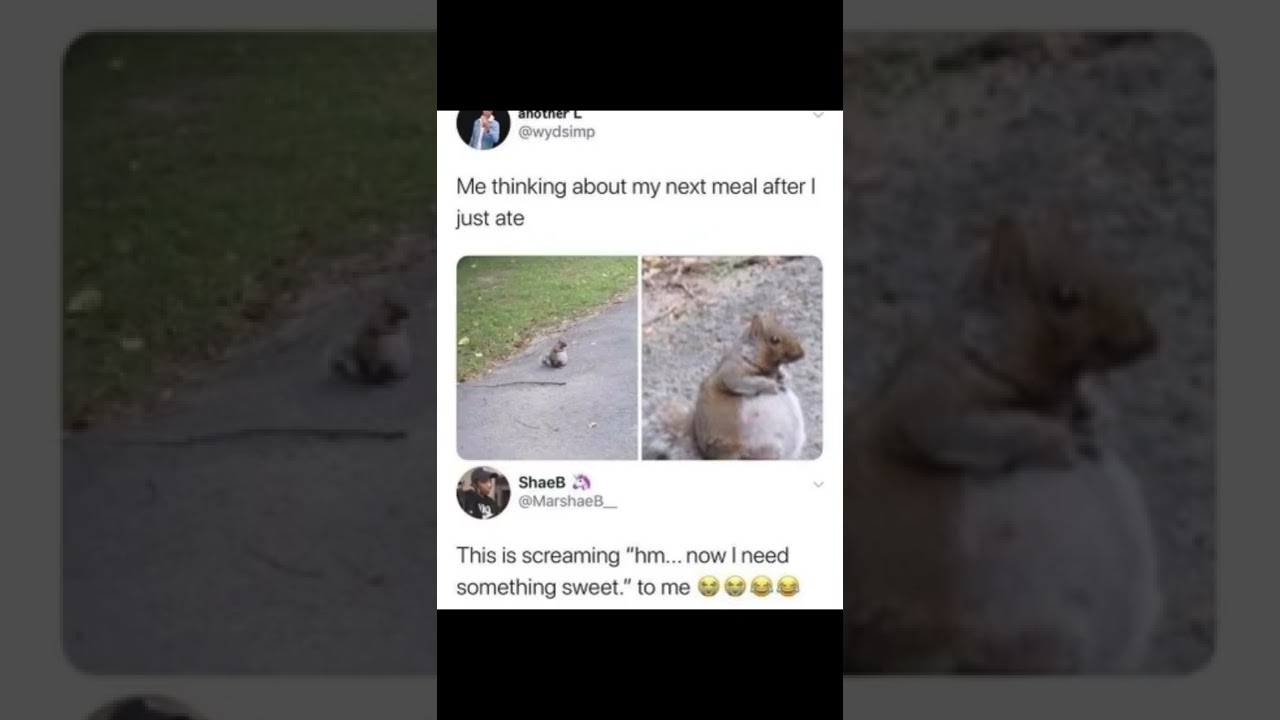 Random Memes I Found on Pinterest - YouTube