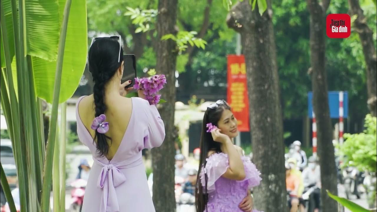 Hoa bằng lăng phủ sắc tím, phượng đỏ rực góc trời Hà Nội | TTGD - YouTube