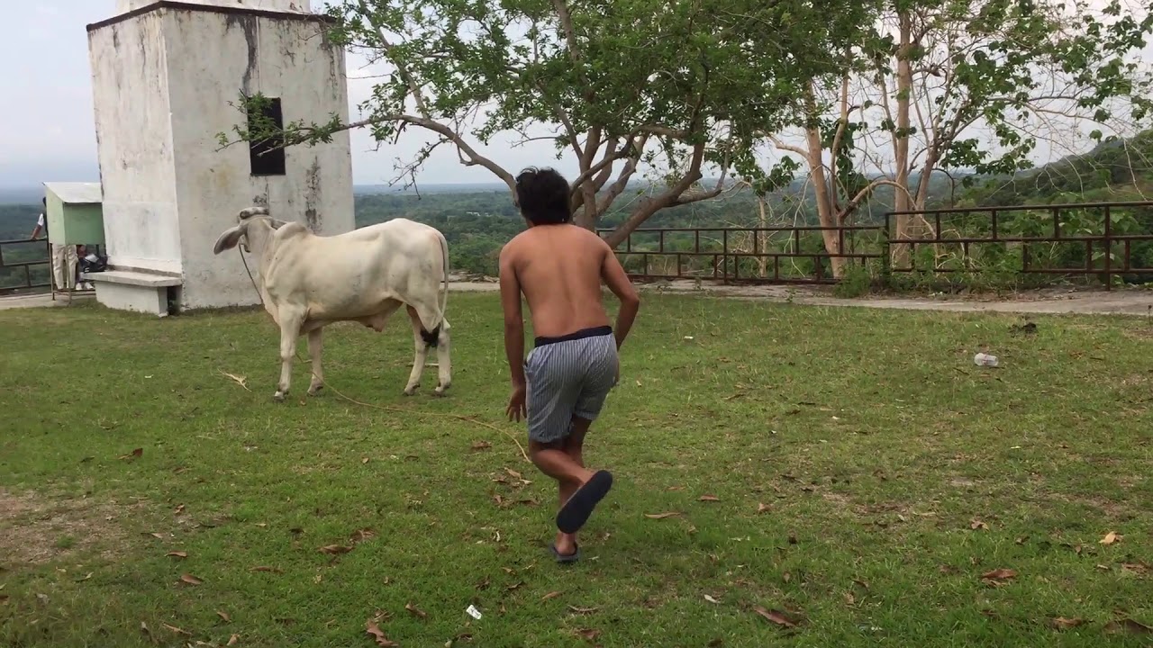 LUKSONG BAKA CHALLENGE - YouTube