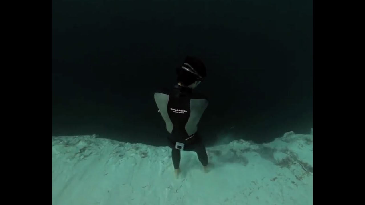Fondo Marino Profundo Y Oscuro Mar Profundo | Habitat | Monterey Bay
