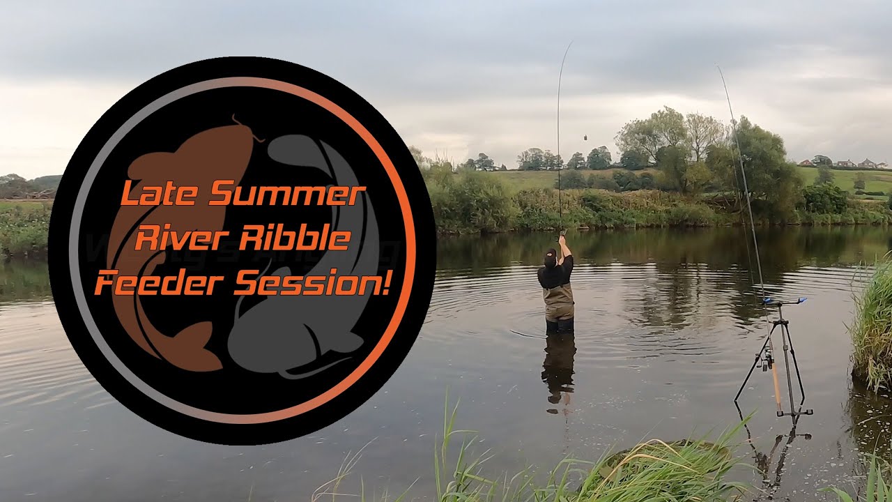 Feeder Fishing | Summer Evening River Session - YouTube