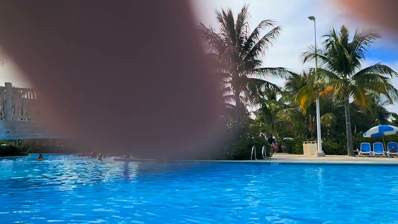 Oasis Lagoon swim-up bar - YouTube