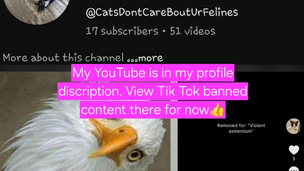 Tik Tok Censorship/Last Year's Video I Made About Steve Bannon ...