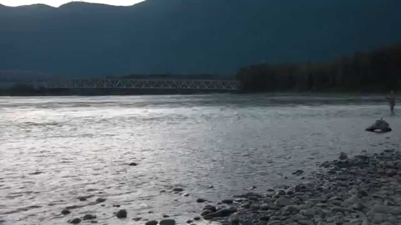 salmon fishing Fraser River - YouTube