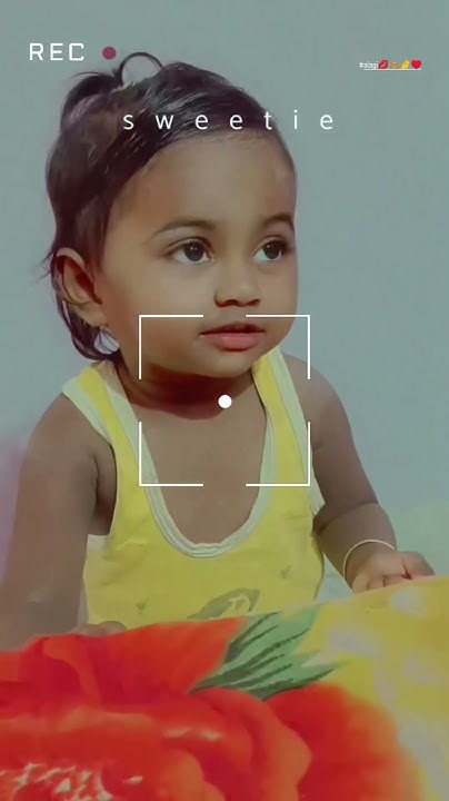 cutie pie reshus vlog - YouTube