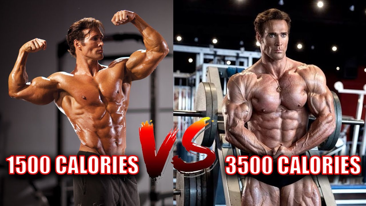 Is 1500 or 3500 Calories the Secret to Sculpting Your Dream Physique ...