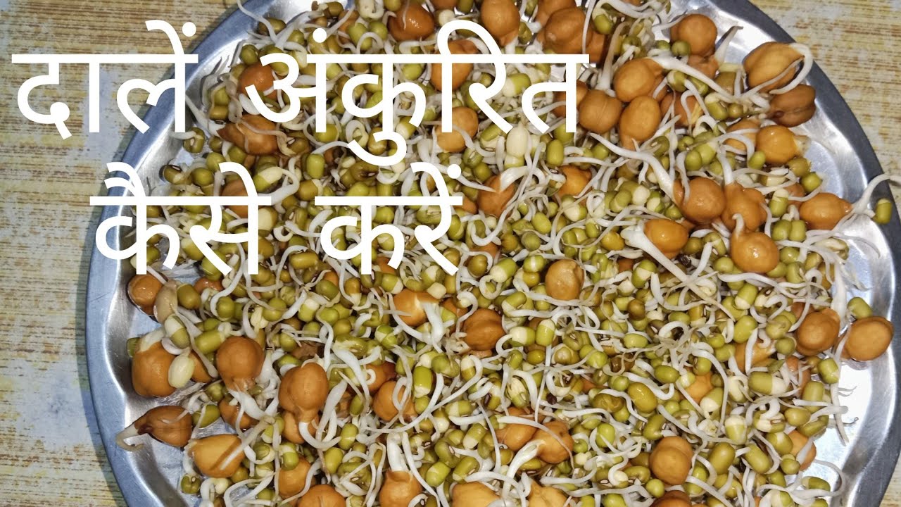 How to sprout 🌱 pulses at home|दालों को अंकुरित करें|How to sprout ...